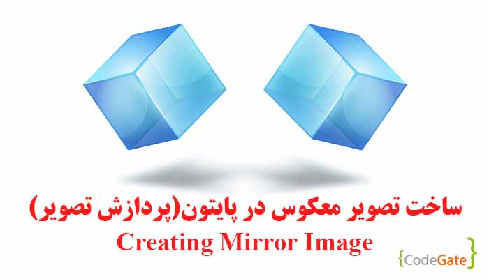  Mirror Image 